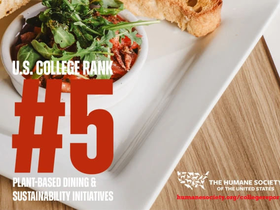UofA Ranks Top 5 for Sustainable Dining | Arizona Student Unions